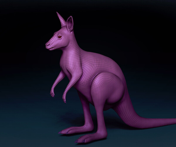 ArtStation - Kangaroo Base Mesh 3D Model | Resources