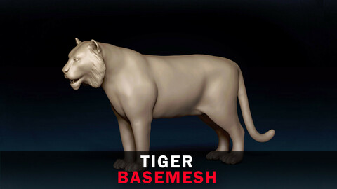 ArtStation - Tiger Base Mesh 3D Model | Resources