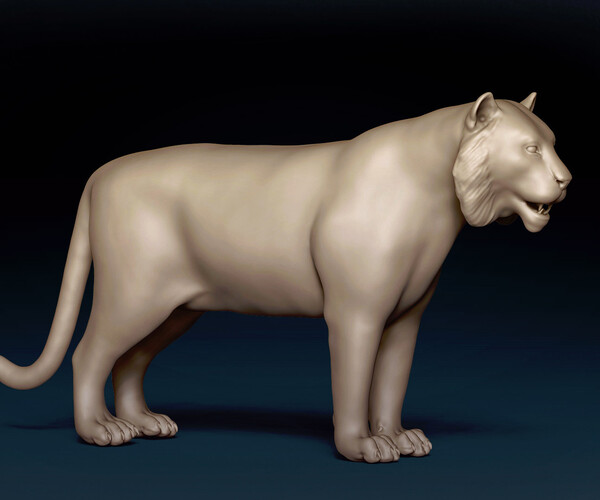 ArtStation - Tiger Base Mesh 3D Model | Resources