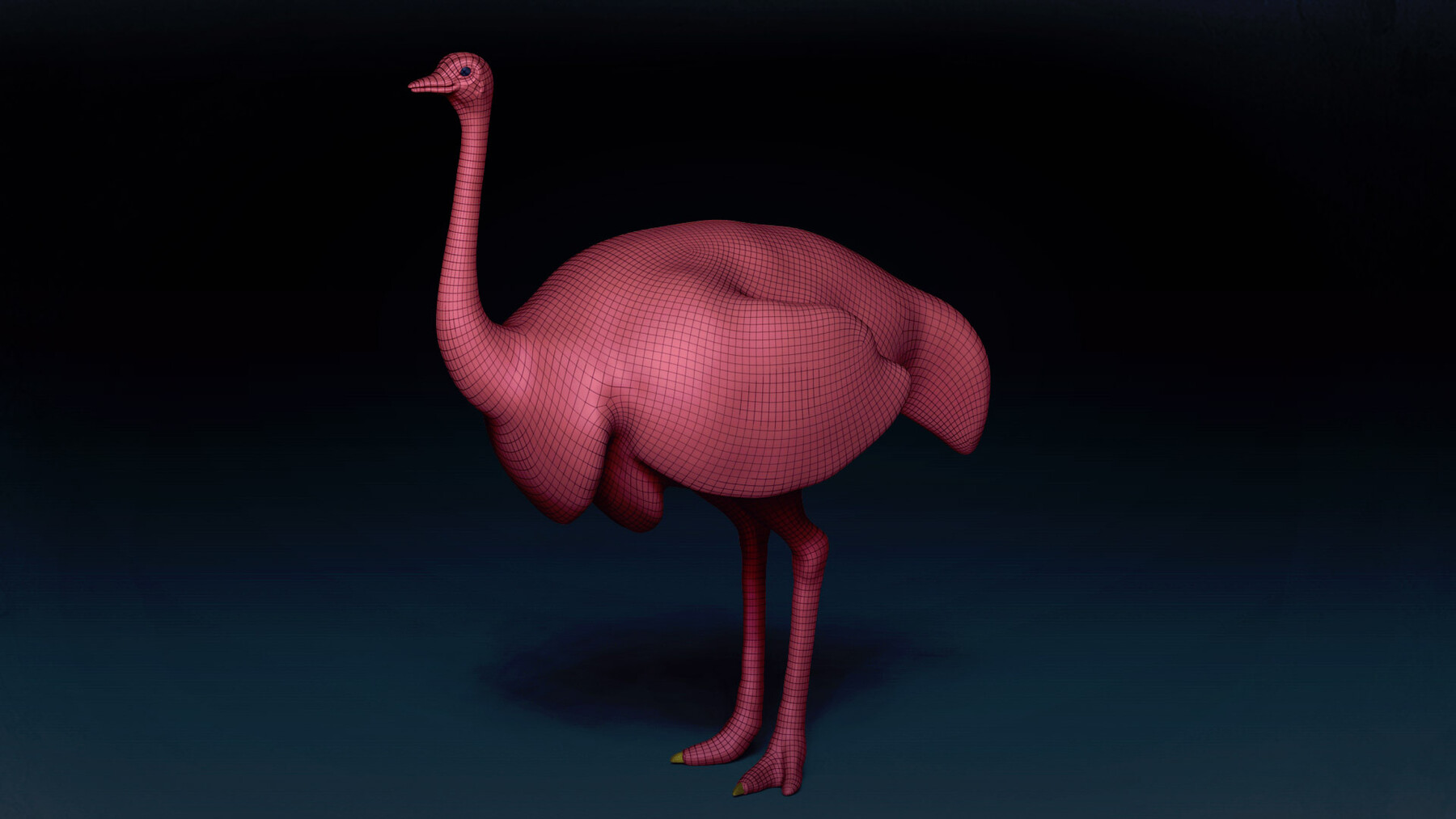 ArtStation - Ostrich Base Mesh 3D Model | Resources