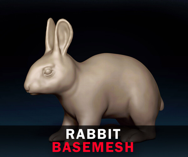 ArtStation - Rabbit Base Mesh 3D Model | Resources