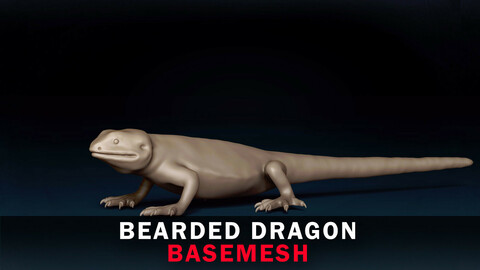 ArtStation - Bearded Dragon Base Mesh 3D Model | Resources
