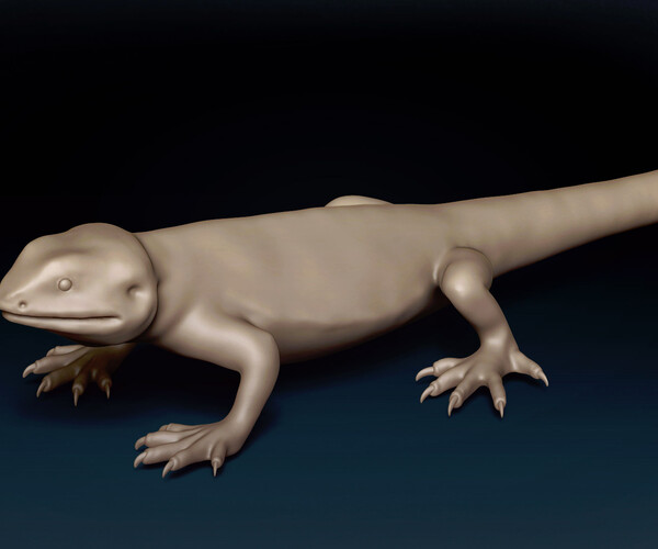 ArtStation - Bearded Dragon Base Mesh 3D Model | Resources