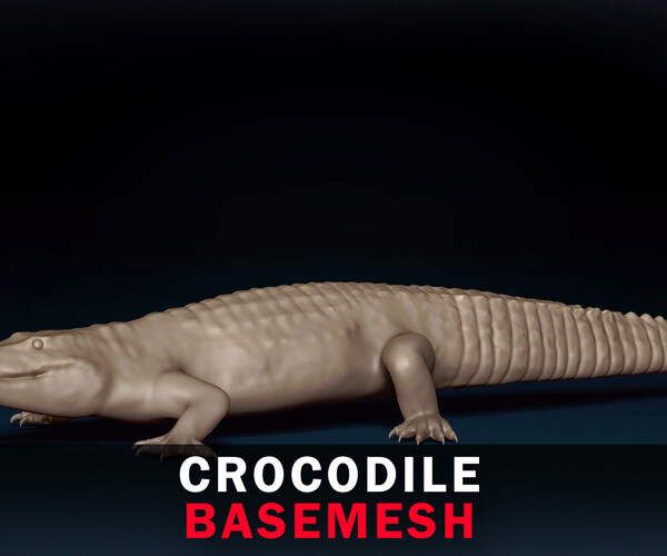 ArtStation - Crocodile Base Mesh 3D Model | Resources