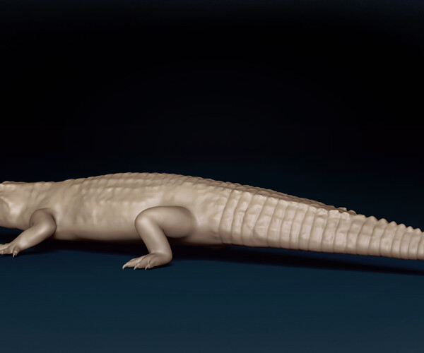 ArtStation - Crocodile Base Mesh 3D Model | Resources