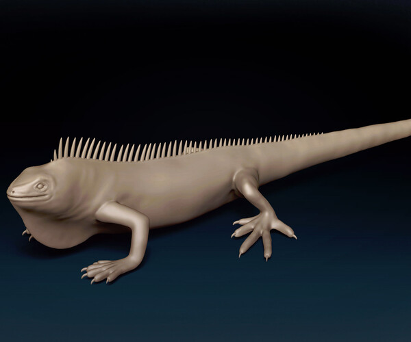 ArtStation - Green Iguana Base Mesh 3D Model | Resources