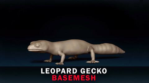 ArtStation - Leopard Gecko Base Mesh 3D Model | Resources