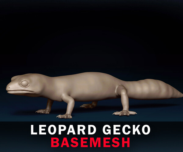 ArtStation - Leopard Gecko Base Mesh 3D Model | Resources