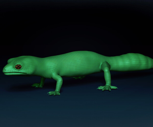 ArtStation - Leopard Gecko Base Mesh 3D Model | Resources