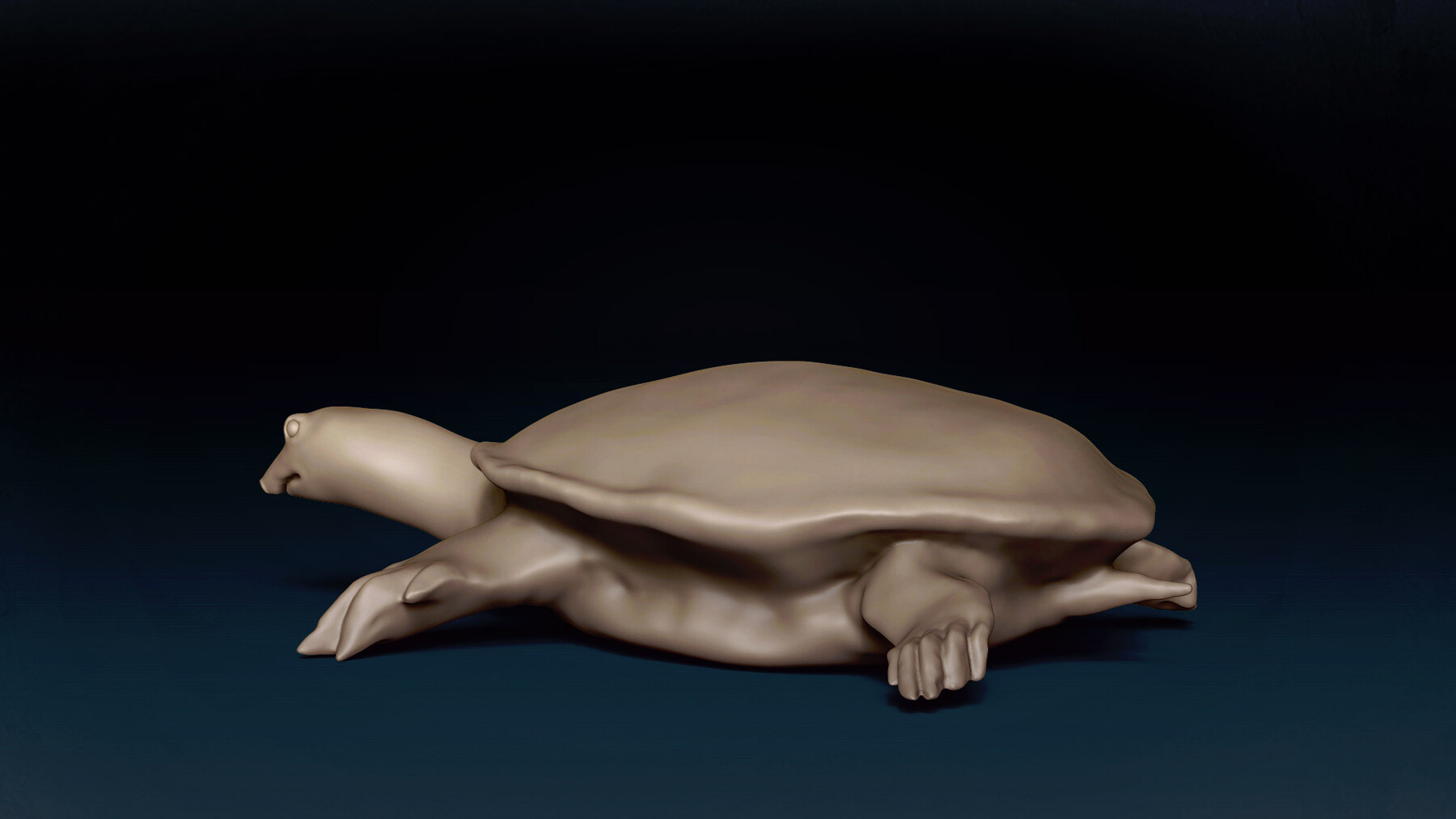 ArtStation - Chinese Softshell Turtle Base Mesh 3D Model | Resources