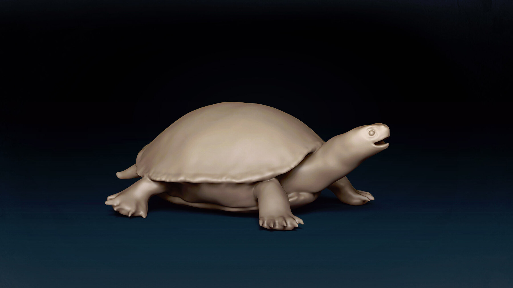 ArtStation - European Pond Turtle Base Mesh 3D Model | Resources