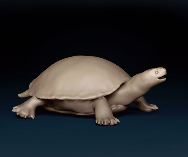 ArtStation - European Pond Turtle Base Mesh 3D Model | Resources