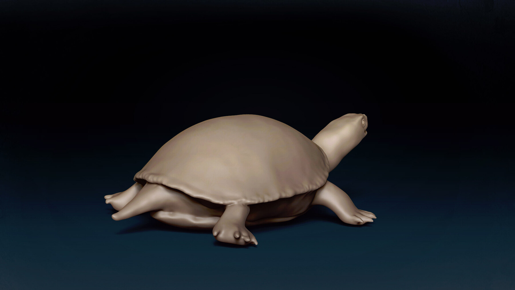 ArtStation - European Pond Turtle Base Mesh 3D Model | Resources