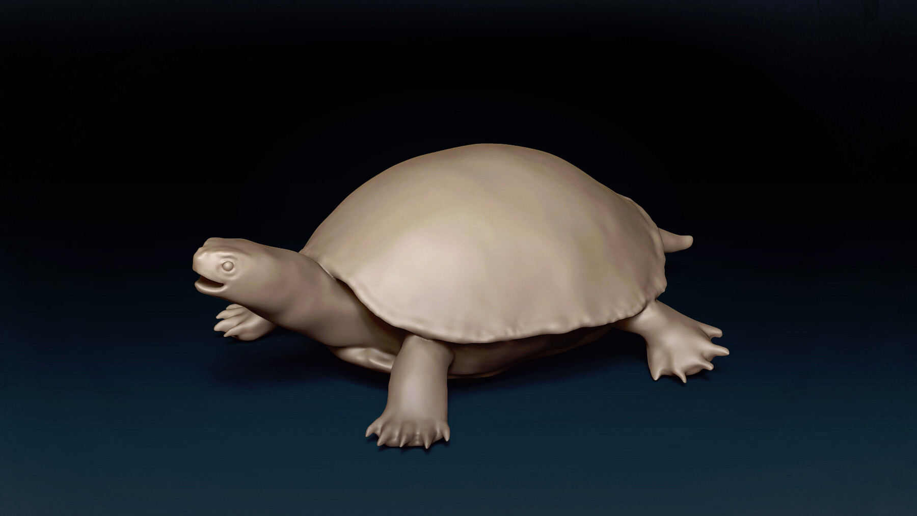 ArtStation - European Pond Turtle Base Mesh 3D Model | Resources