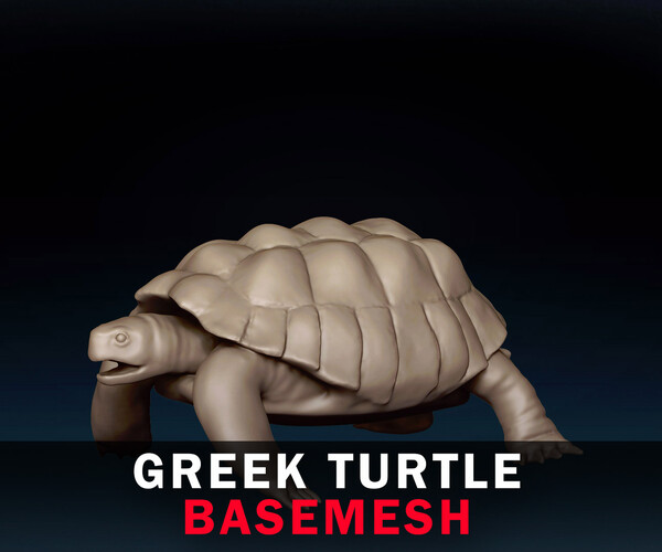 ArtStation - Greek Turtle Base Mesh 3D Model | Resources
