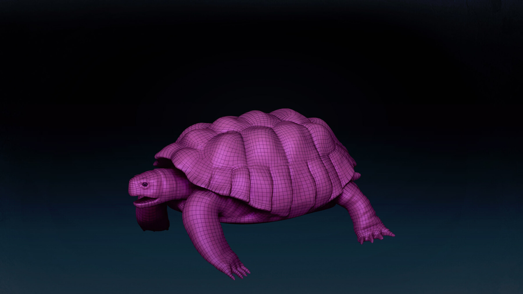 ArtStation - Greek Turtle Base Mesh 3D Model | Resources
