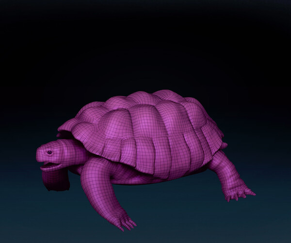 ArtStation - Greek Turtle Base Mesh 3D Model | Resources