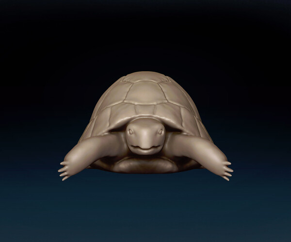 ArtStation - Hermann Turtle Tortoise Base Mesh 3D Model | Resources