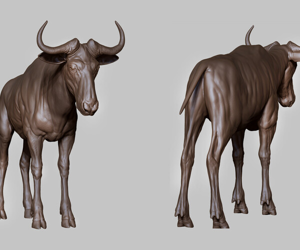 ArtStation - GNU | Resources