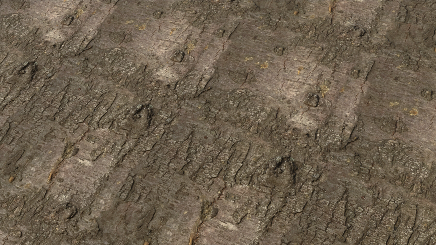 ArtStation - Cupressus Tree Bark | Game Assets