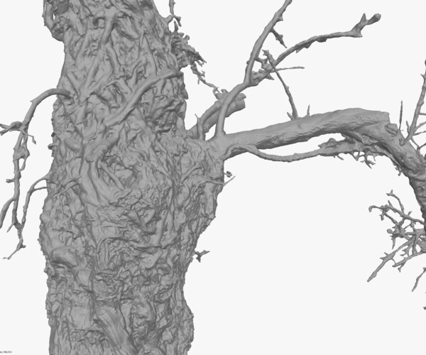 ArtStation - Spooky Monster Tree - 3D model with Faces and Animal ...