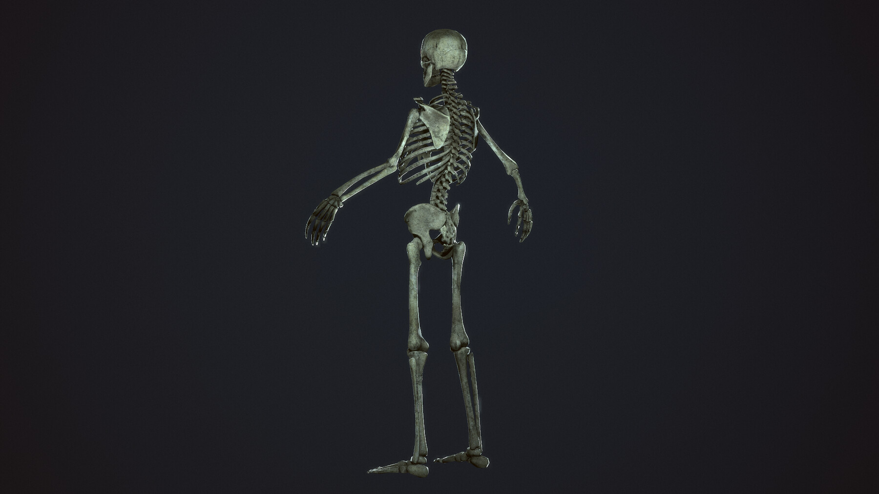 ArtStation - Skeleton Warrior - Game Ready Low-poly 3D model | Game Assets