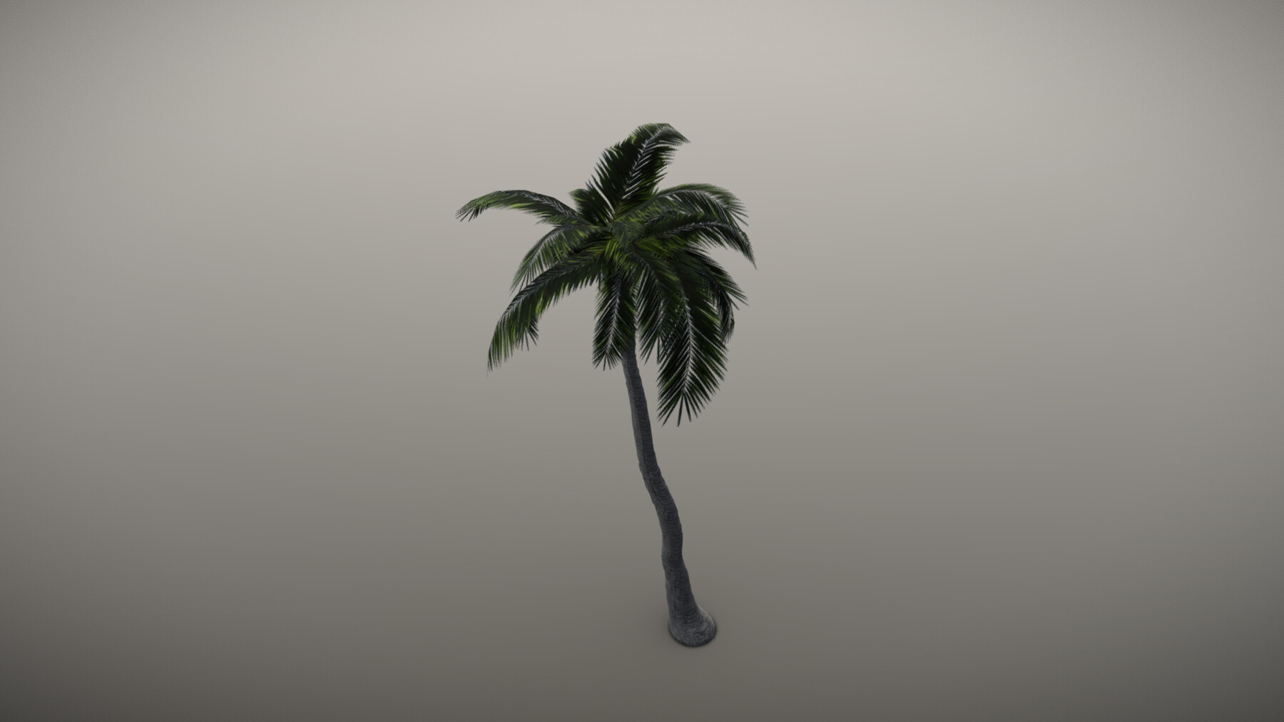 ArtStation - Tropical Palm | Game Assets