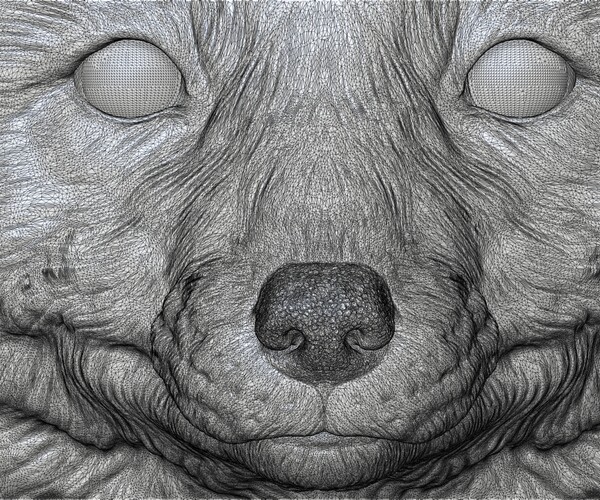 ArtStation - Fox head | Resources