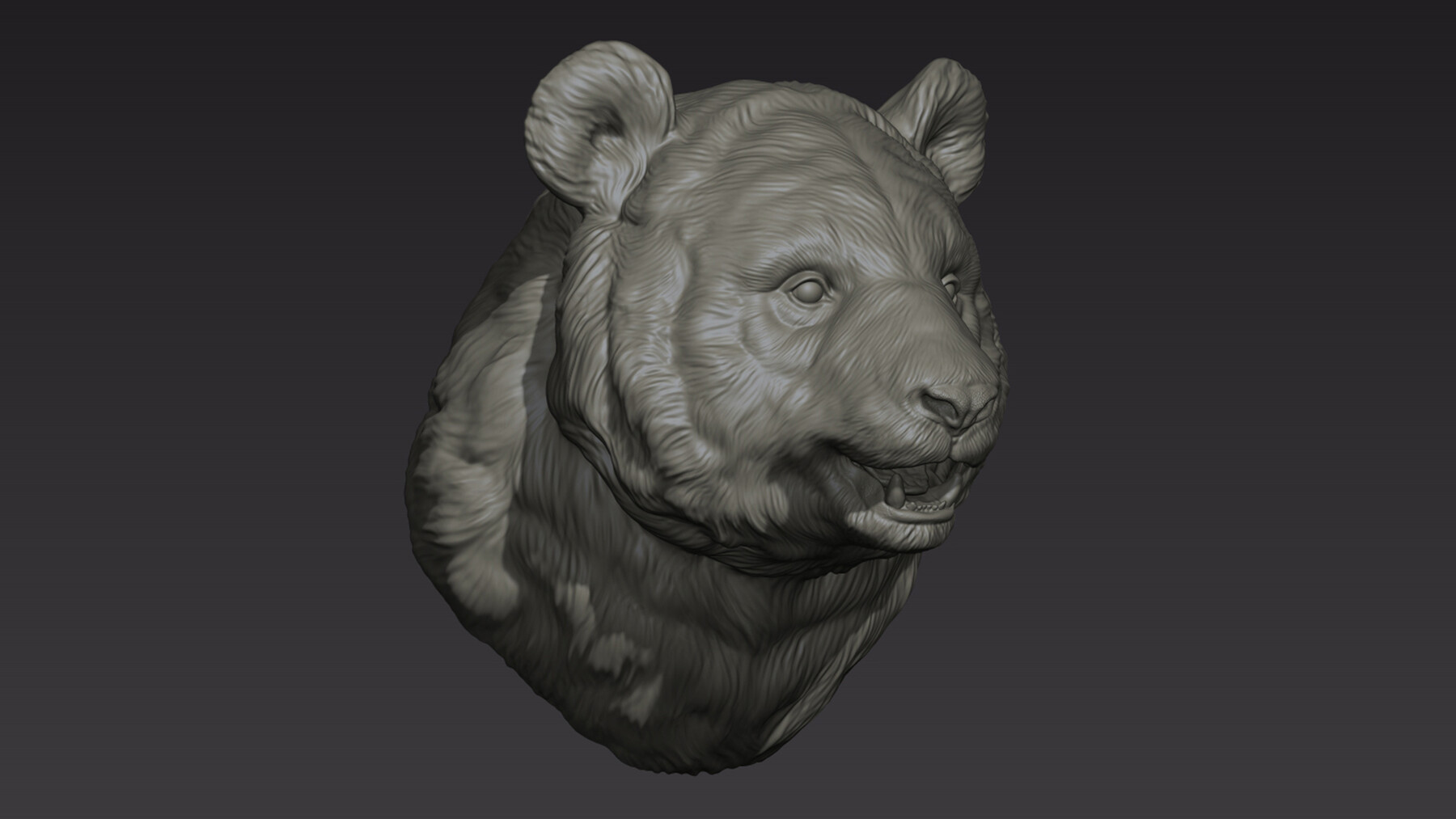 ArtStation - Panda head | Resources