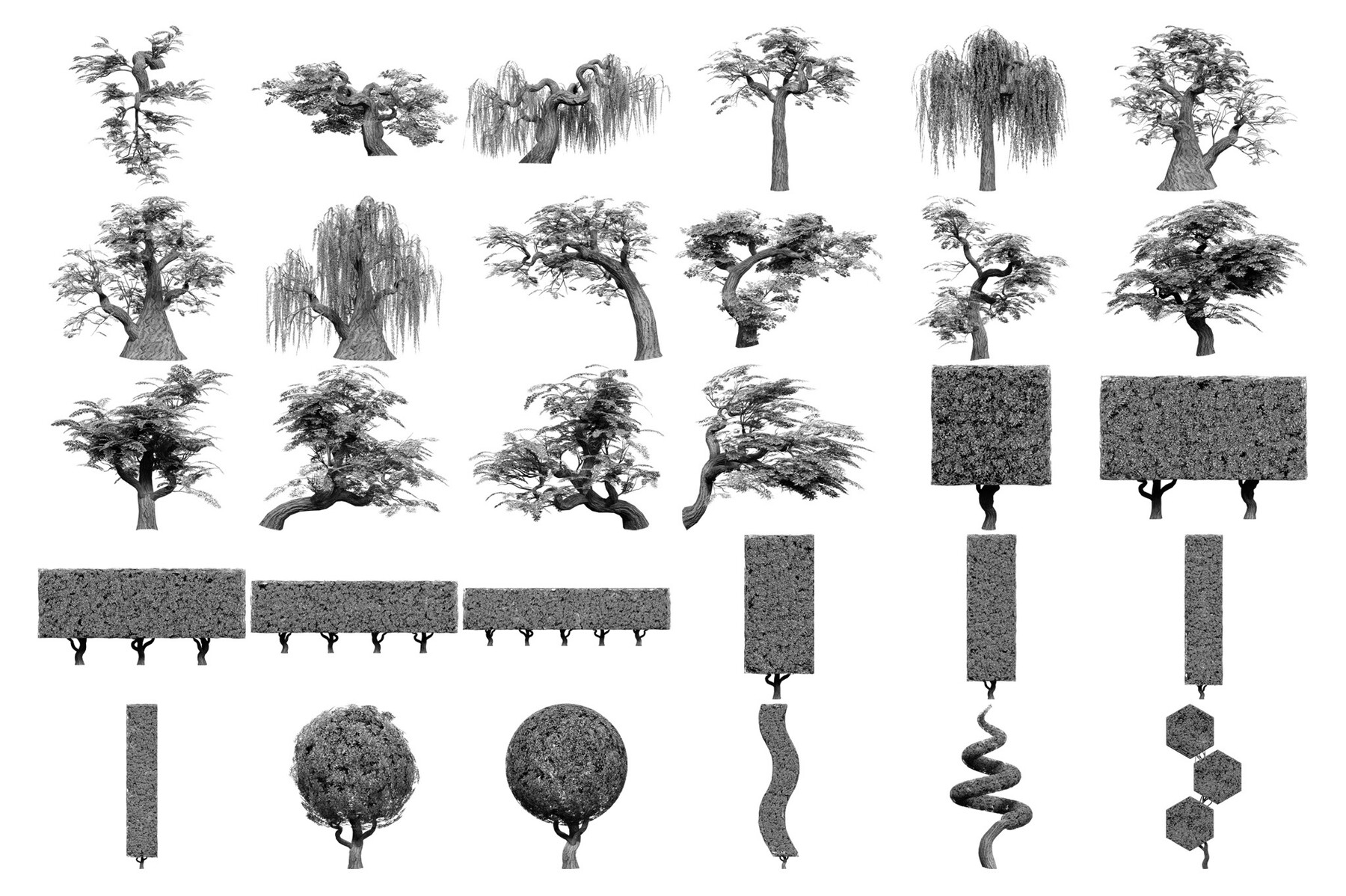 ArtStation - Tree Brushes - Willow Edition(Front, Top, Isometric) | Brushes