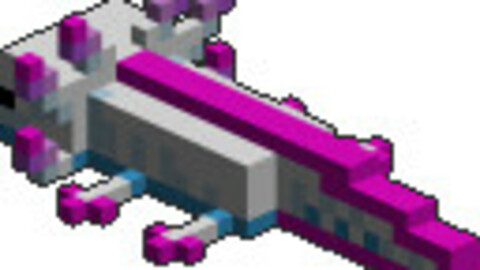 ArtStation - Axolotl | Game Assets