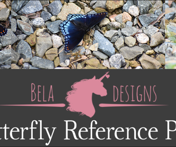 ArtStation - Beladesigns' Butterfly Reference Pack | Resources
