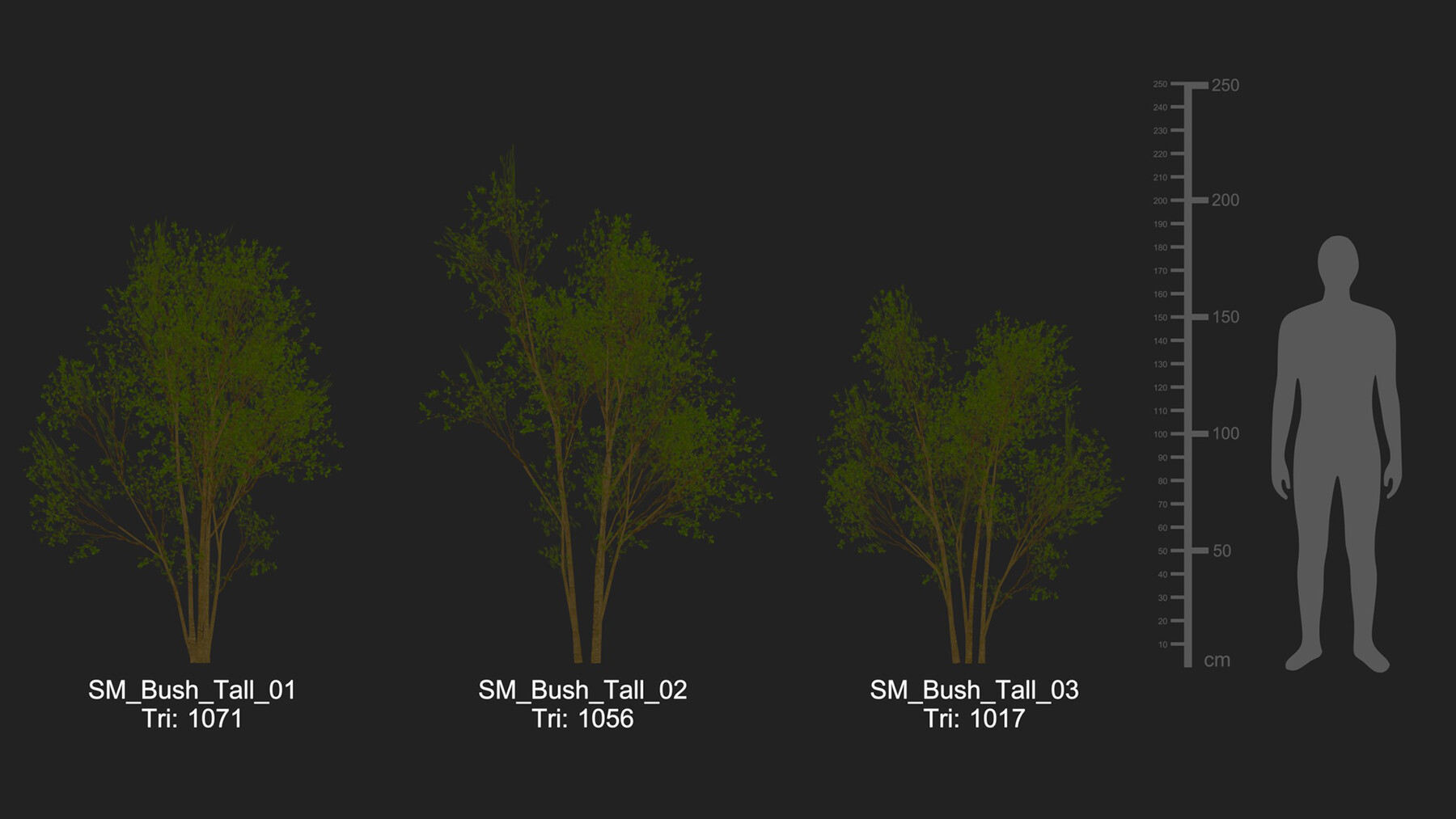 ArtStation - LumiNet | Foliage Assets pack05 | Game Assets