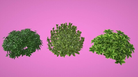 ArtStation - Bush | Game Assets