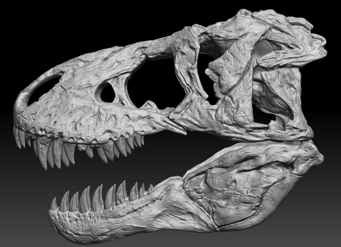 ArtStation - T-rex skull | Resources