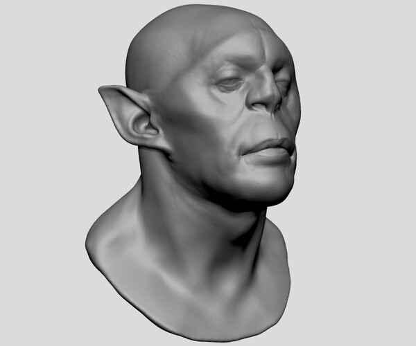 ArtStation - Creature Head 14 | Resources