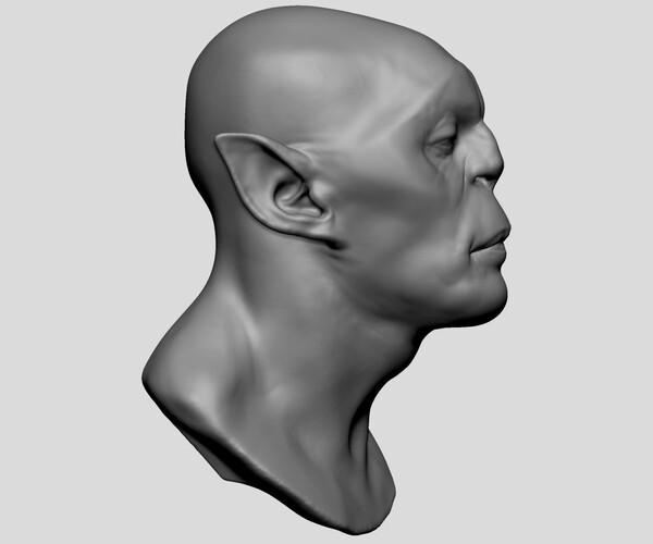 ArtStation - Creature Head 14 | Resources