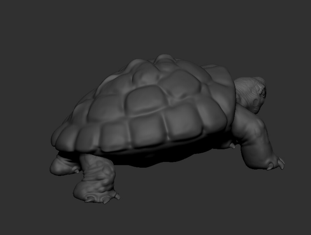 ArtStation - Turttle mesh | Resources