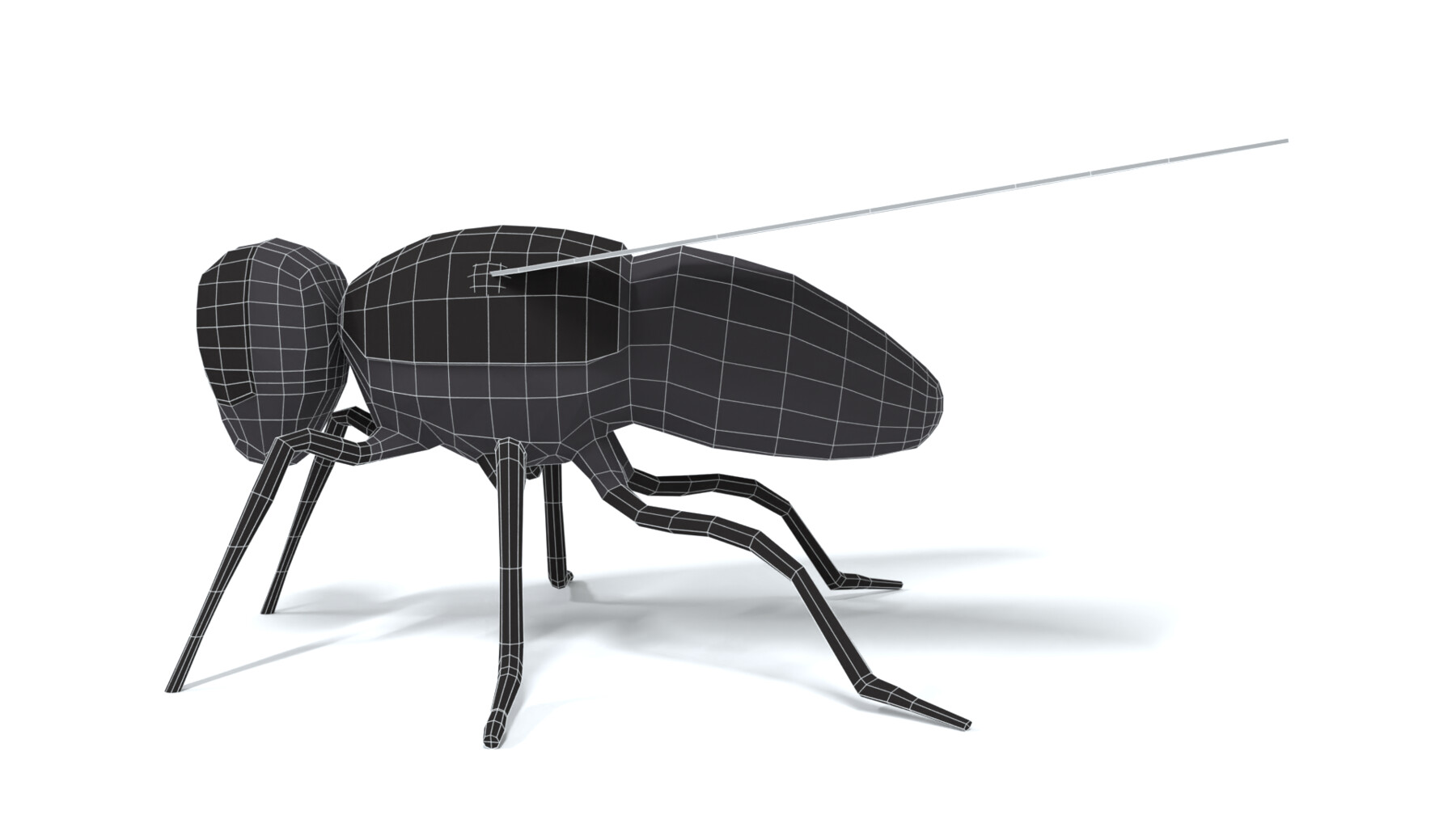 ArtStation - Low Poly Cartoon Fly | Game Assets