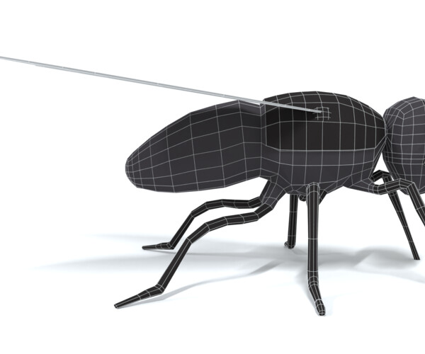 ArtStation - Low Poly Cartoon Fly | Game Assets