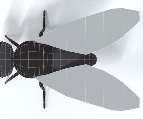 ArtStation - Low Poly Cartoon Fly | Game Assets