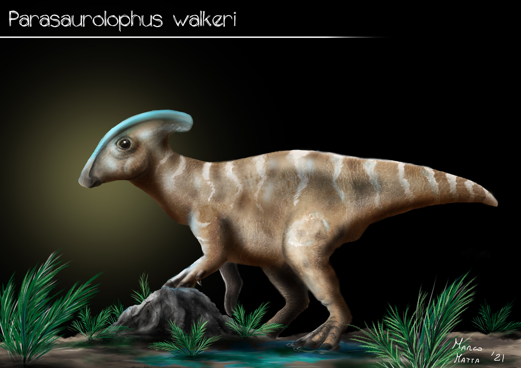 ArtStation - Parasaurolophus walkeri (Adult and Juvenile) | Artworks