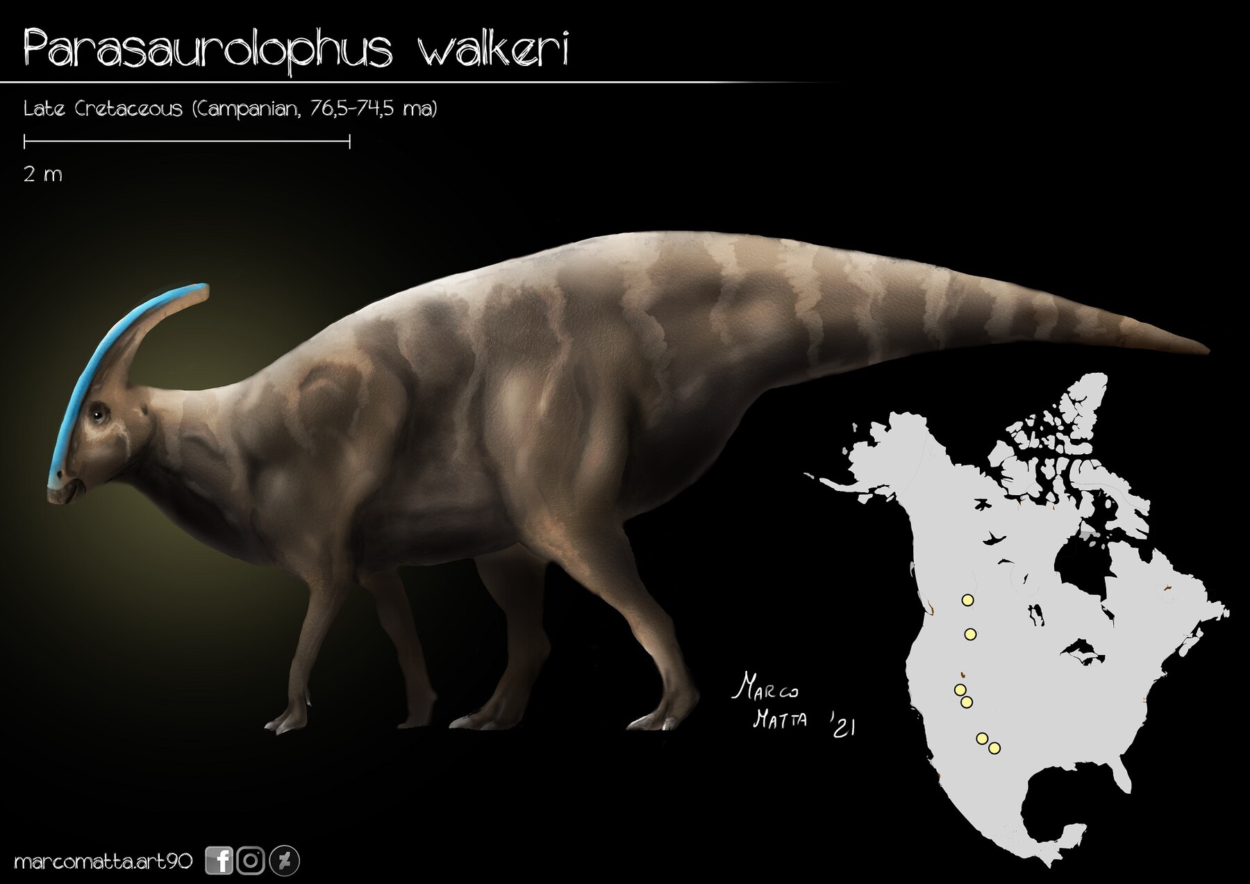 ArtStation - Parasaurolophus walkeri (Adult and Juvenile) | Artworks