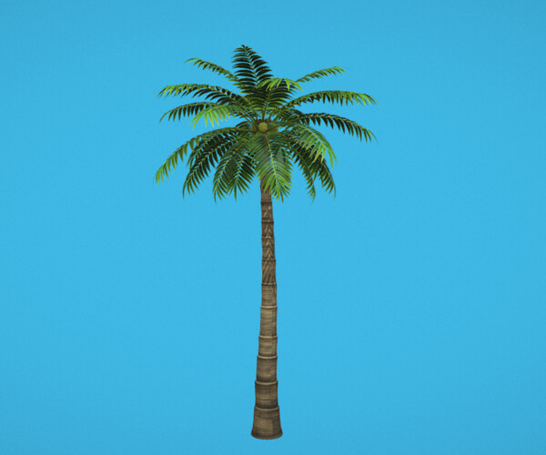 ArtStation - palm Tree | Game Assets