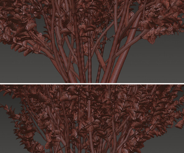 ArtStation - Set of Buxus sempervirens Shurb ( Boxwood ) ( 2 Shurbs ...