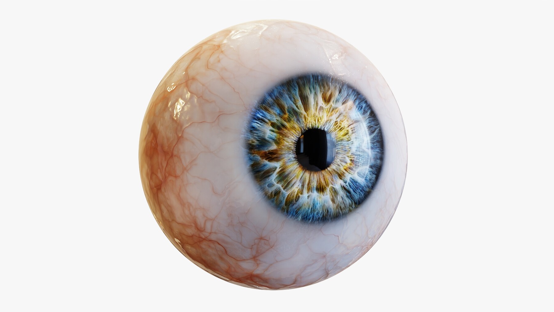 ArtStation - Realisctic Human Eye | Game Assets