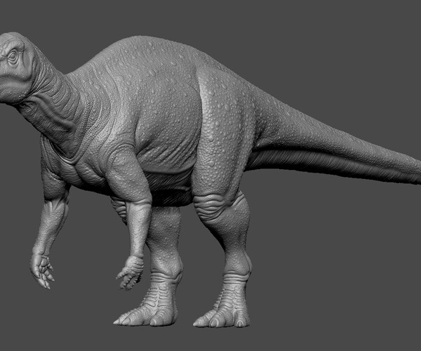 ArtStation - Muttaburrasaurus Dinosaur | Resources