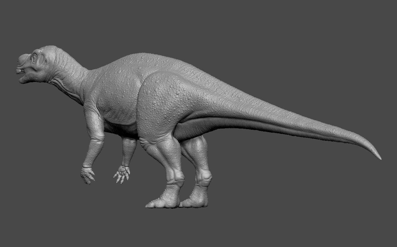 ArtStation - Muttaburrasaurus Dinosaur | Resources