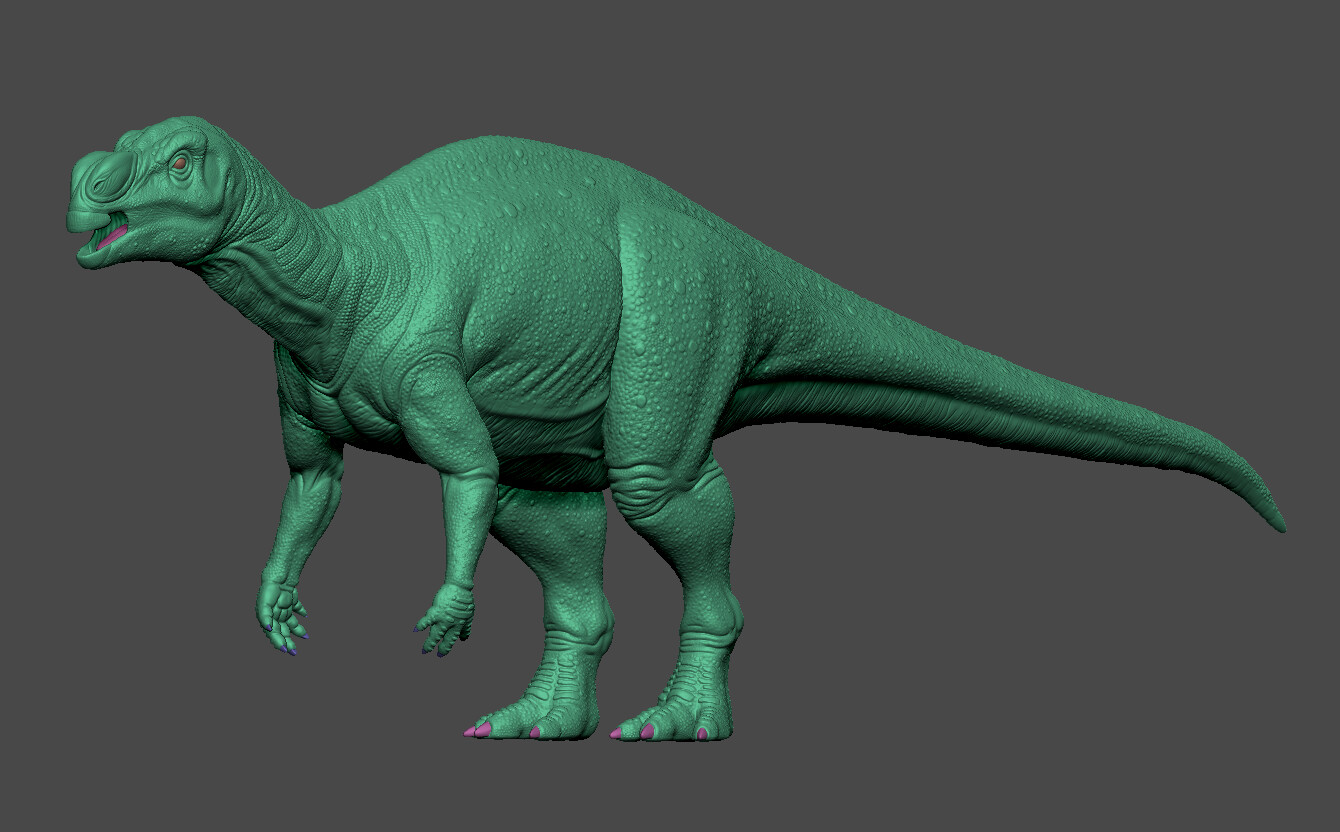 ArtStation - Muttaburrasaurus Dinosaur | Resources