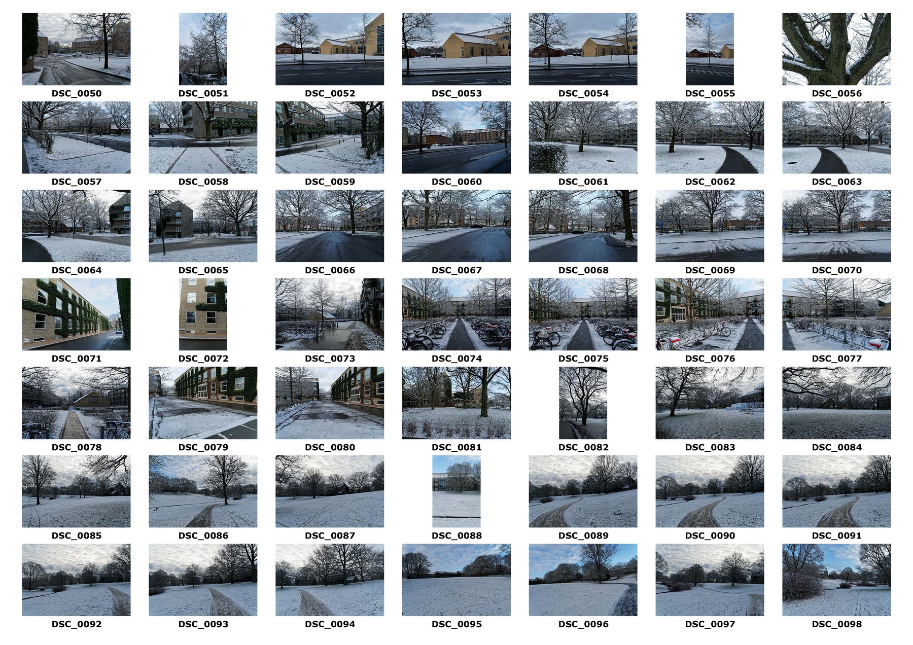 ArtStation - FREE / WINTER PACK / Photo Reference / 385 images | Resources